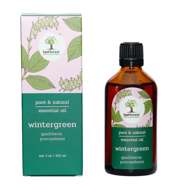 Therapeutic Essential Oil - Wintergreen (Eases Joint and Muscle Pain ...